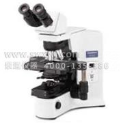 BX41临床研究级生物显微镜_景通生命科学仪器